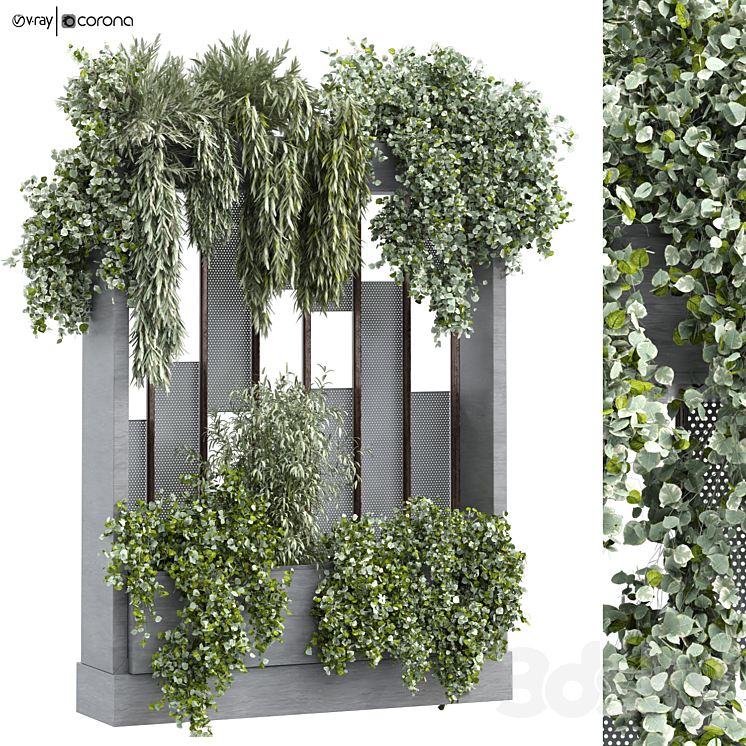 vertical plant in box greenwall and partition set 368 - Fitowall - 3D model