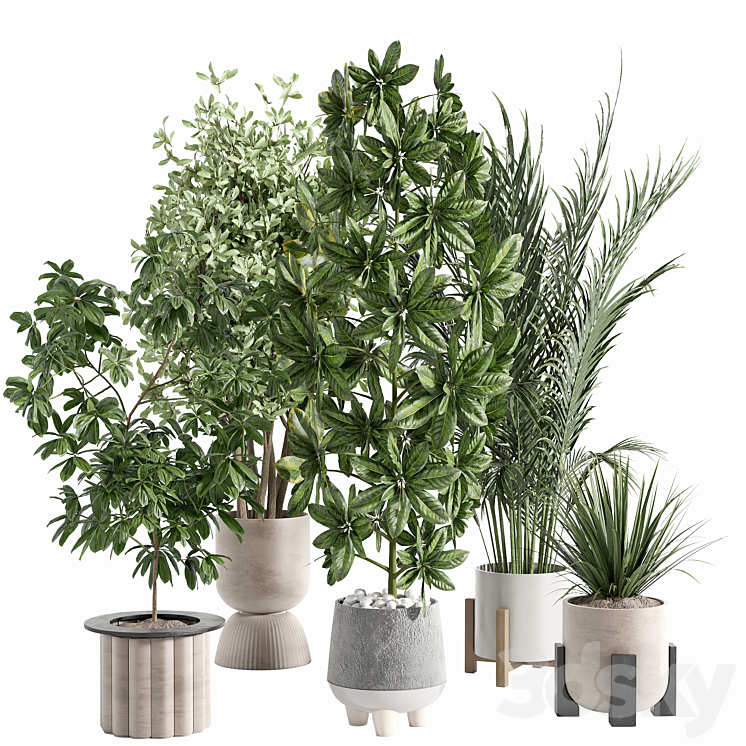 Indoor Plant 397 Indoor 3d Model