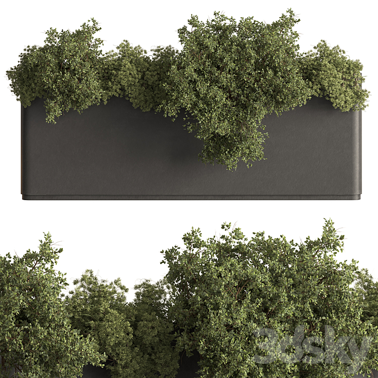 Indoor Plant 832 - Plant Box - Indoor - 3D model