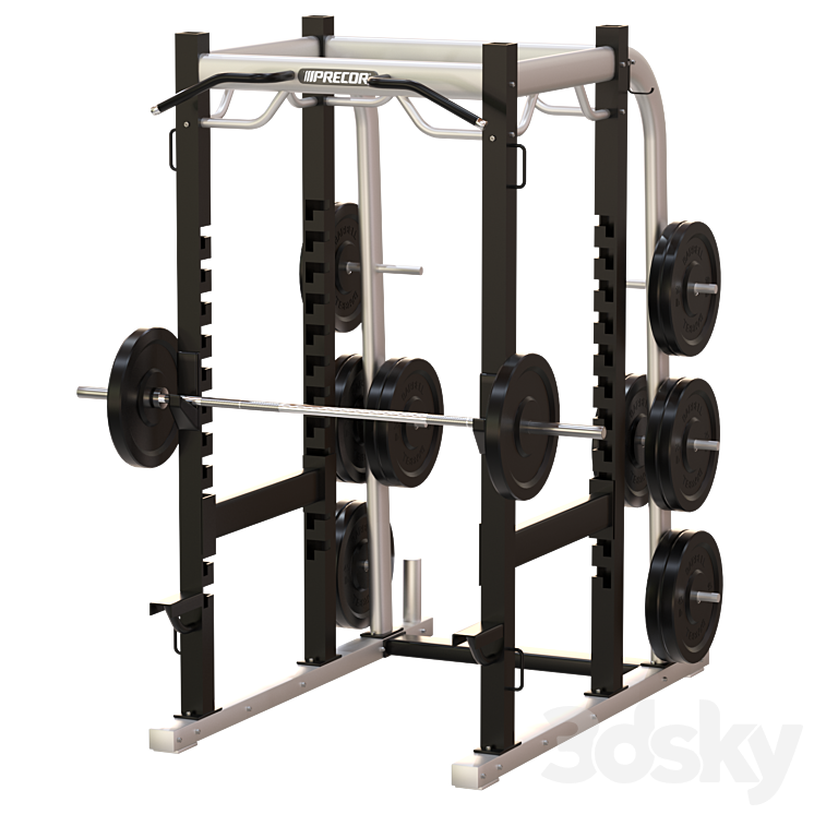 Precor Power Rack DBR 610 - Sports - 3D model