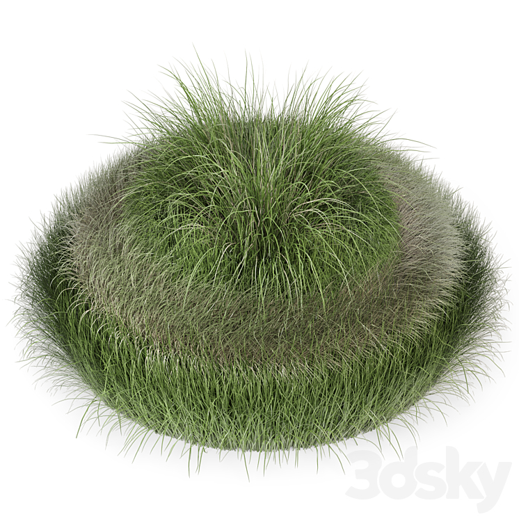 Outdoor Plants Bush Collection_Bush Set 2699 - Grass - 3D model