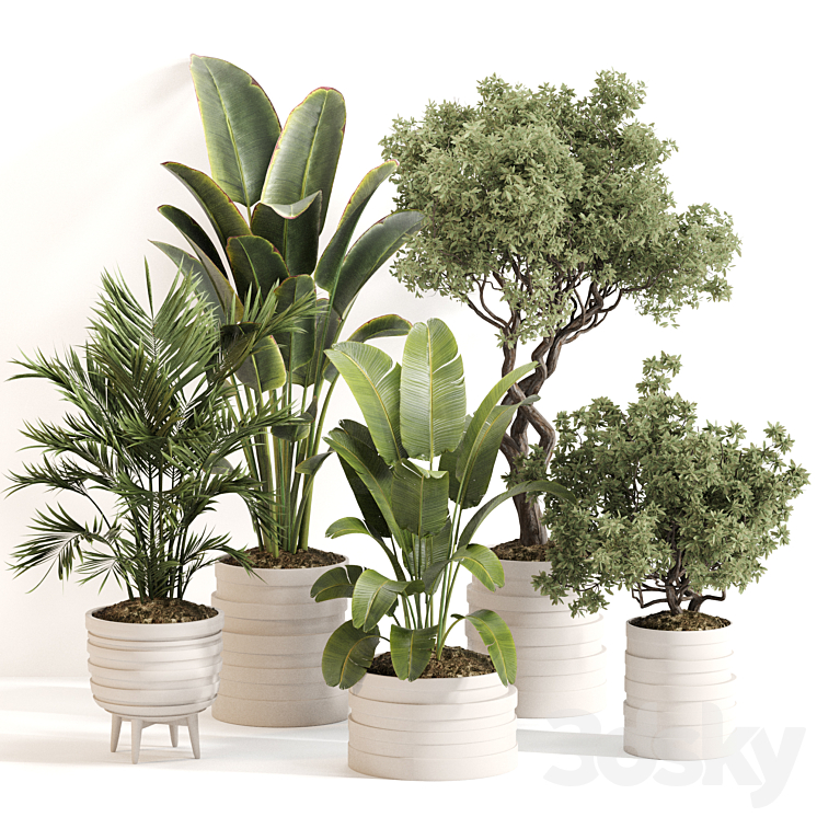 Indoor Plant Set 0142 - Indoor - 3D model