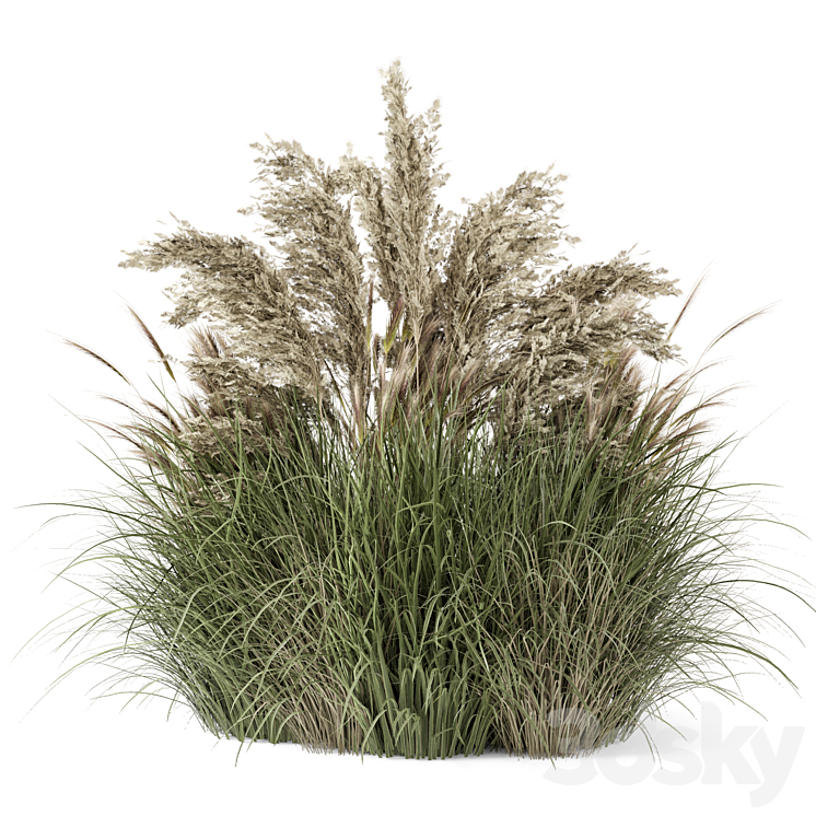 Outdoor Plants Bush Bush Set 2709 - Bush - 3D model
