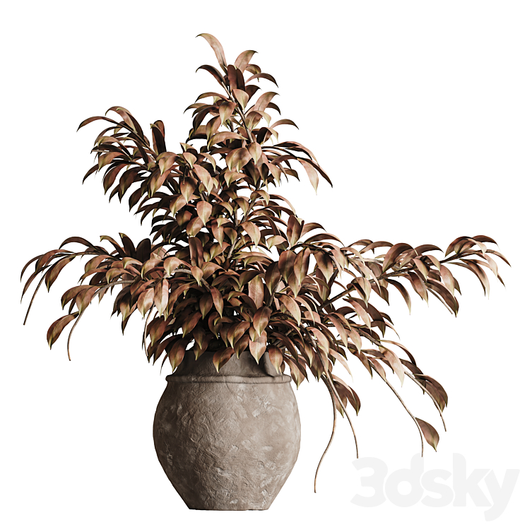 Pot Plant 157 - Indoor - 3D model