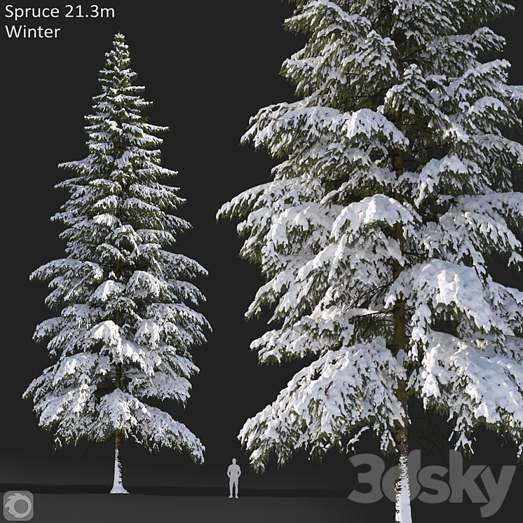 Spruce winter - Tree - 3D model