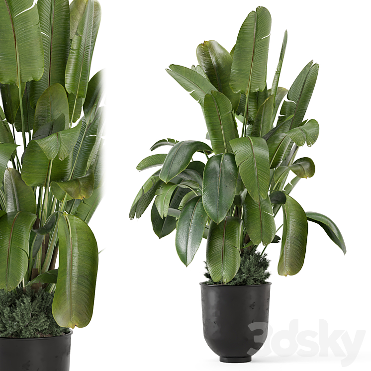Indoor Plant in Minimal Metal Pot 3026 - Indoor - 3D model