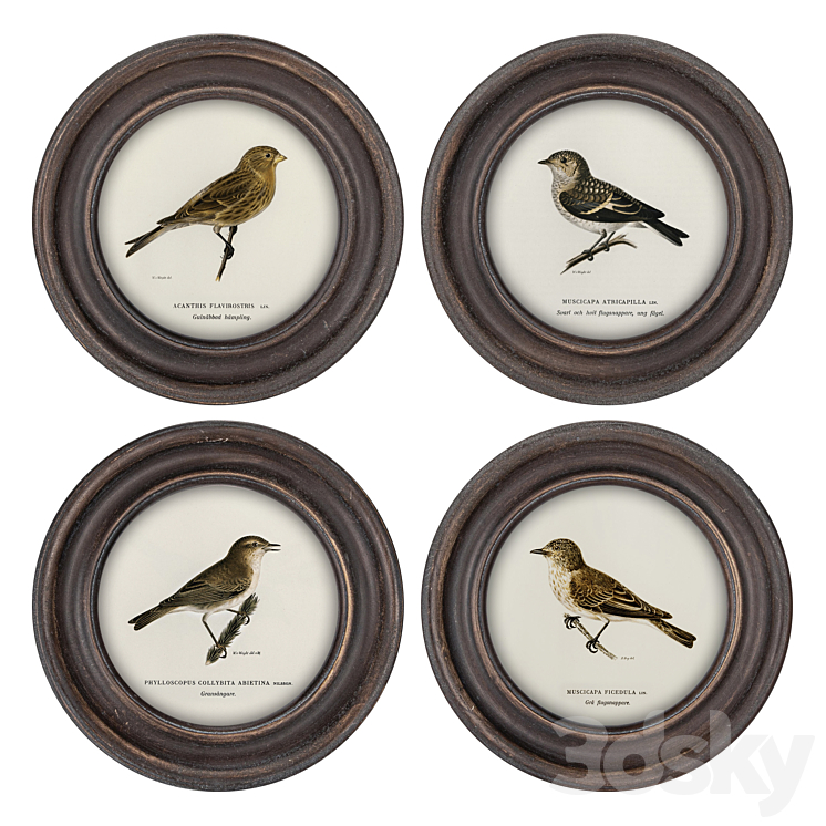 Paintings 1098 - Frame - 3D model