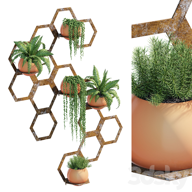 Hexagonal trellis wall planter - Fitowall - 3D model