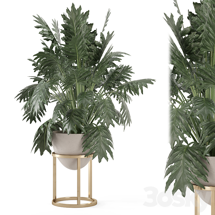Big Leaf Plant in Handmade Pot_Set 3272 - Indoor - 3D model