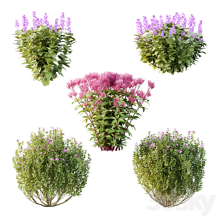 Different bush 13 - Bush - 3D model