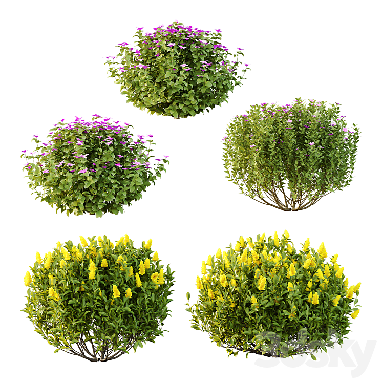 Different bush 24 - Bush - 3D model