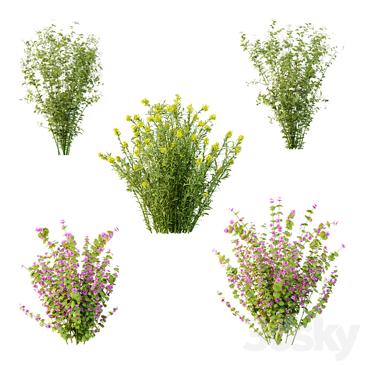 Different bush 17 - Bush - 3D model