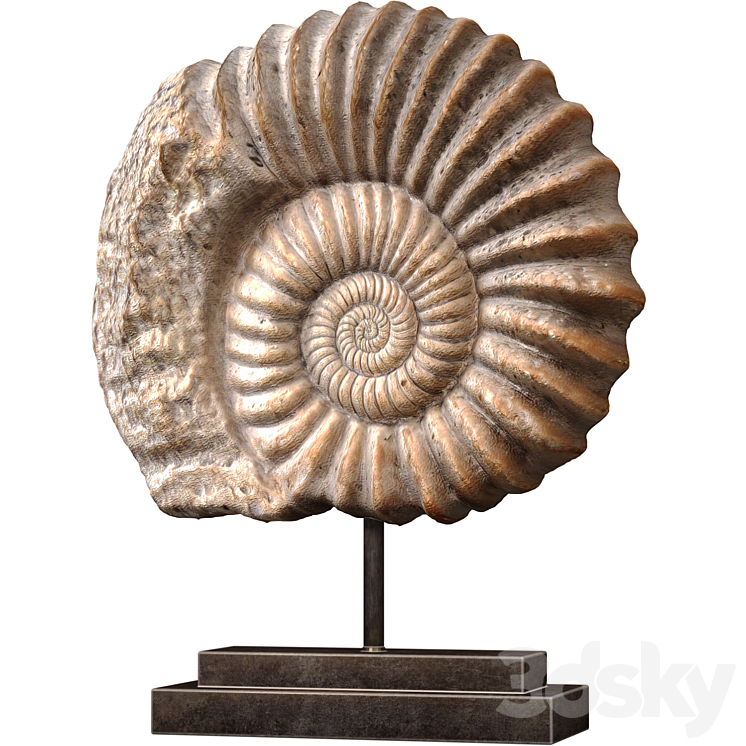 Fossilized Nautilus Shell Sculpture Ammonite Mounted Nautilus Statuette ...