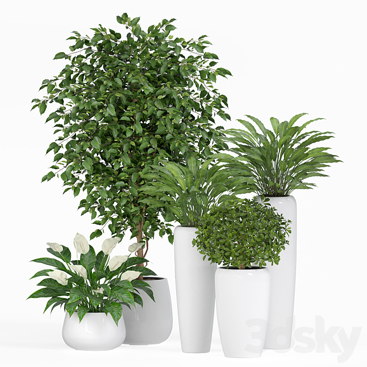 treez set 69 - Indoor - 3D model