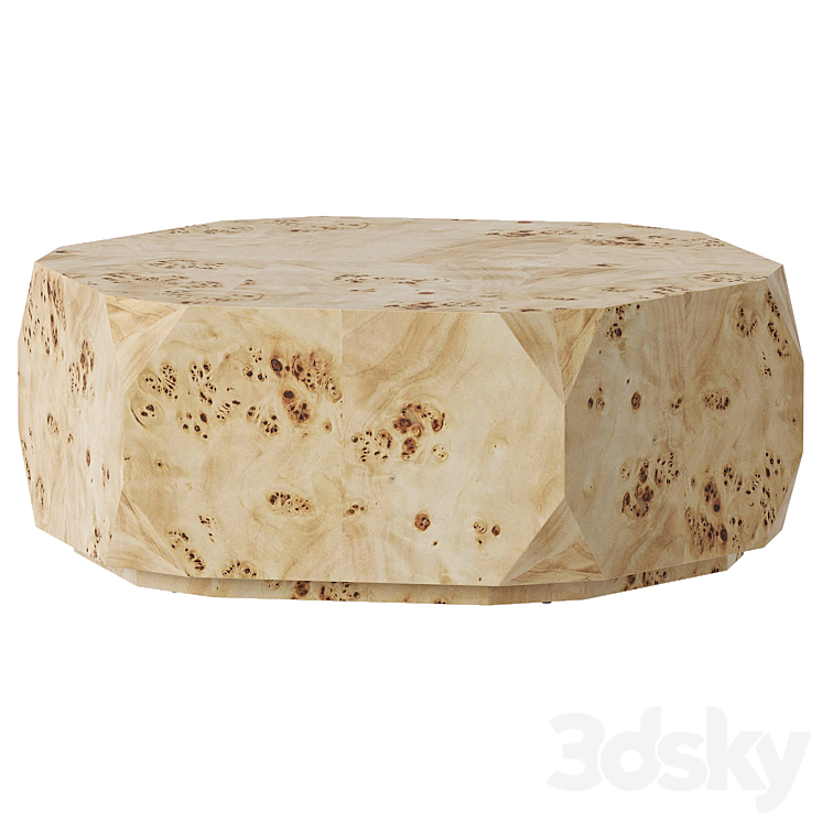 Daphne Modern Classic Light Burl Round Drum Coffee Table - Table - 3D model