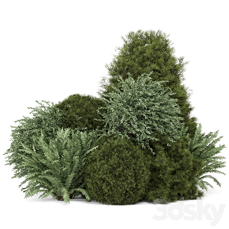 Outdoor Plants Bush_Bush Set 3449 - Indoor - 3D model