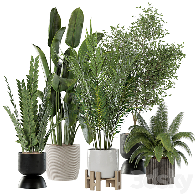 Indoor plant 606 - Indoor - 3D model