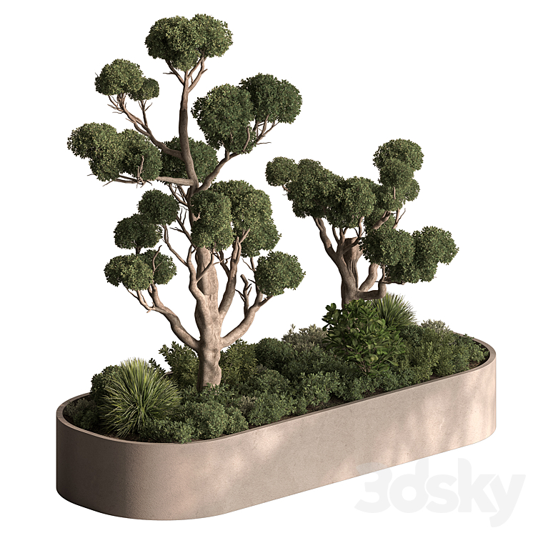 Outdoor Plant 718 - Topiary Ball Tree - Outdoor - 3D model