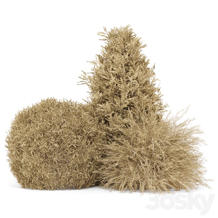 Outdoor Dry Bush Plants_Bush Set 3475 - Bush - 3D model