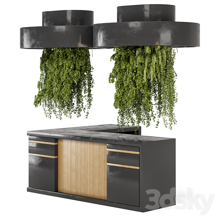 Coffee Reception Desk With Plants_3539 - Restaurant - 3D model