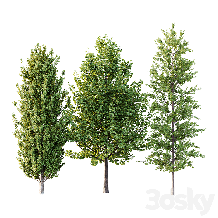 Different Trees 53 - Tree - 3D model