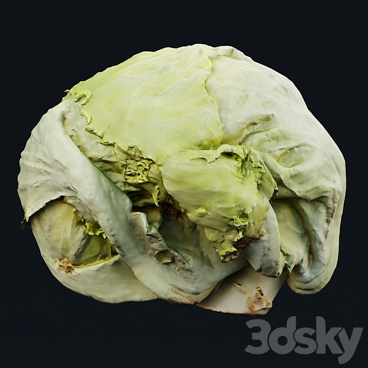 Lettuce 3D Model Vol 01 - Food and drinks - 3D model
