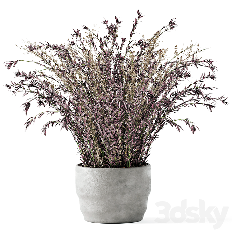 Purple Foliage Pot - Indoor - 3D model