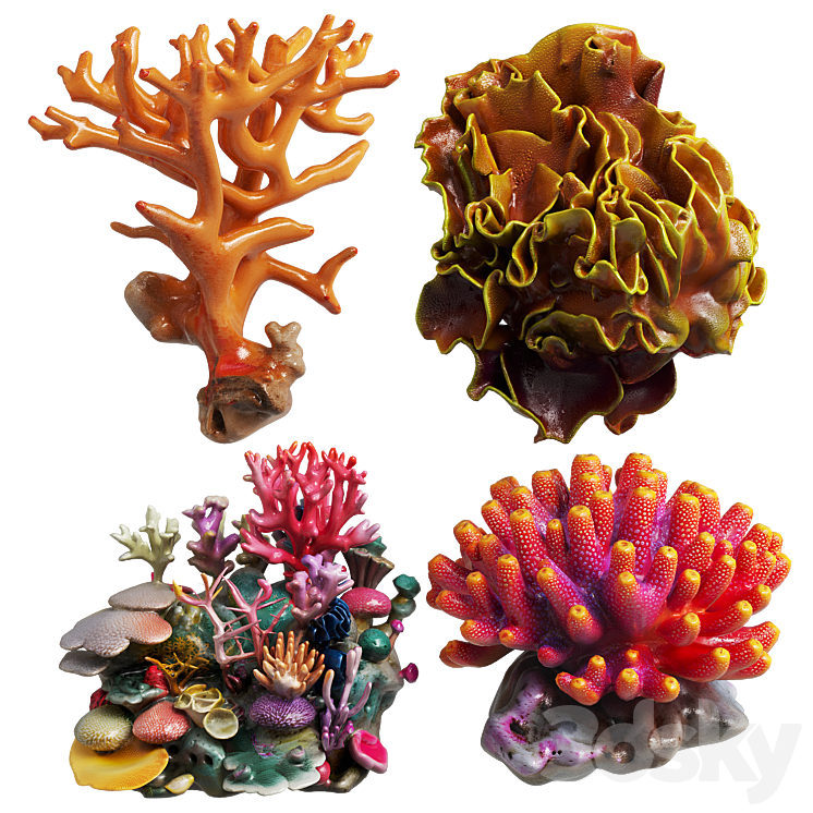 Coral Set 2 - Sculpture - 3D model