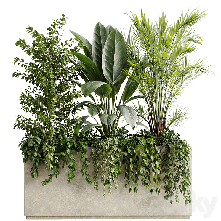 Garden Plants Box - Outdoor Plants 248 - Outdoor - 3D model