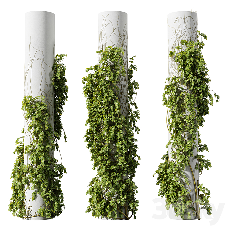 Climbing Ivy Set on Columns - Vol 04 - Outdoor - 3D model