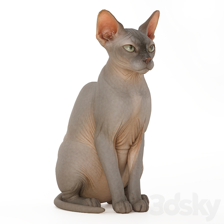 The sphinx cat - Creature - 3D model