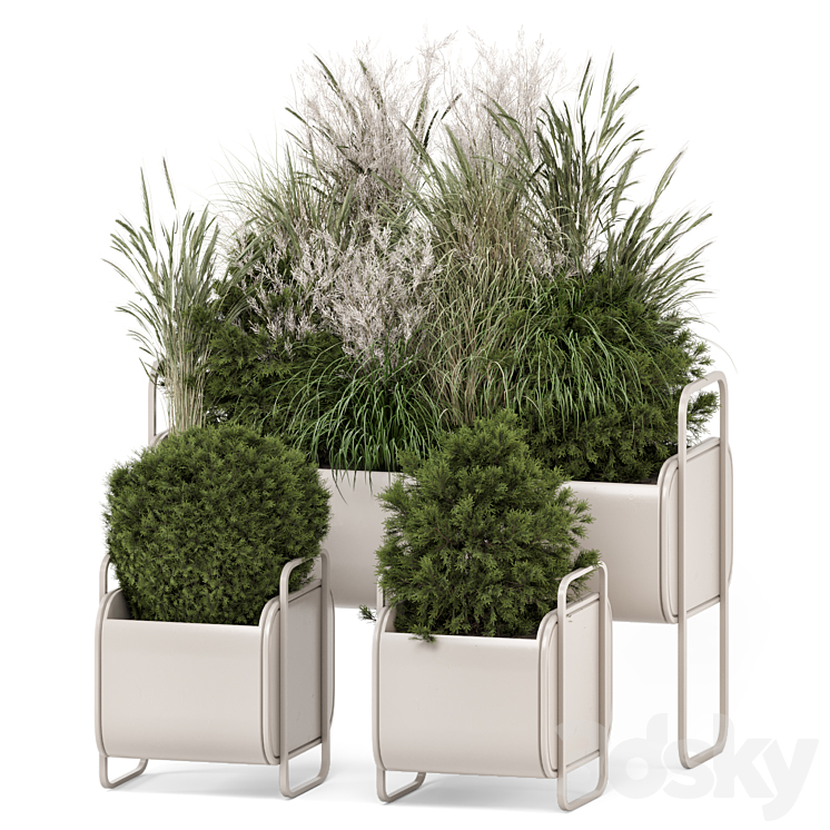 Outdoor Plants Pine Bush and Tree_Bush Set 4054 - Indoor - 3D model