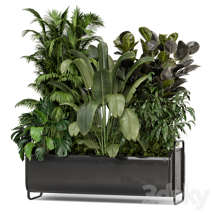 Outdoor Plants Pine Bush and Tree_Bush Set 4055 - Outdoor - 3D model