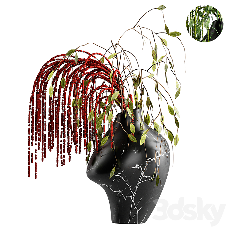 Amaranth of two types - Bouquet - 3D model