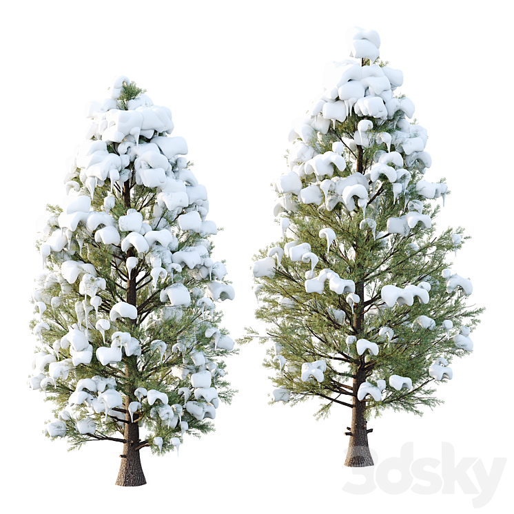 Eastern Red Cedar Winter Tree 01 - Tree - 3D model