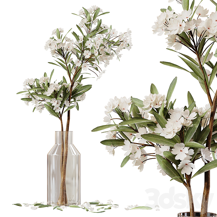 Bouquet Indoor Plants 60 - Bouquet - 3D model
