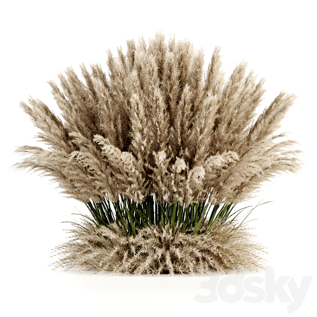 Bush and Tree - 3D Models Collection